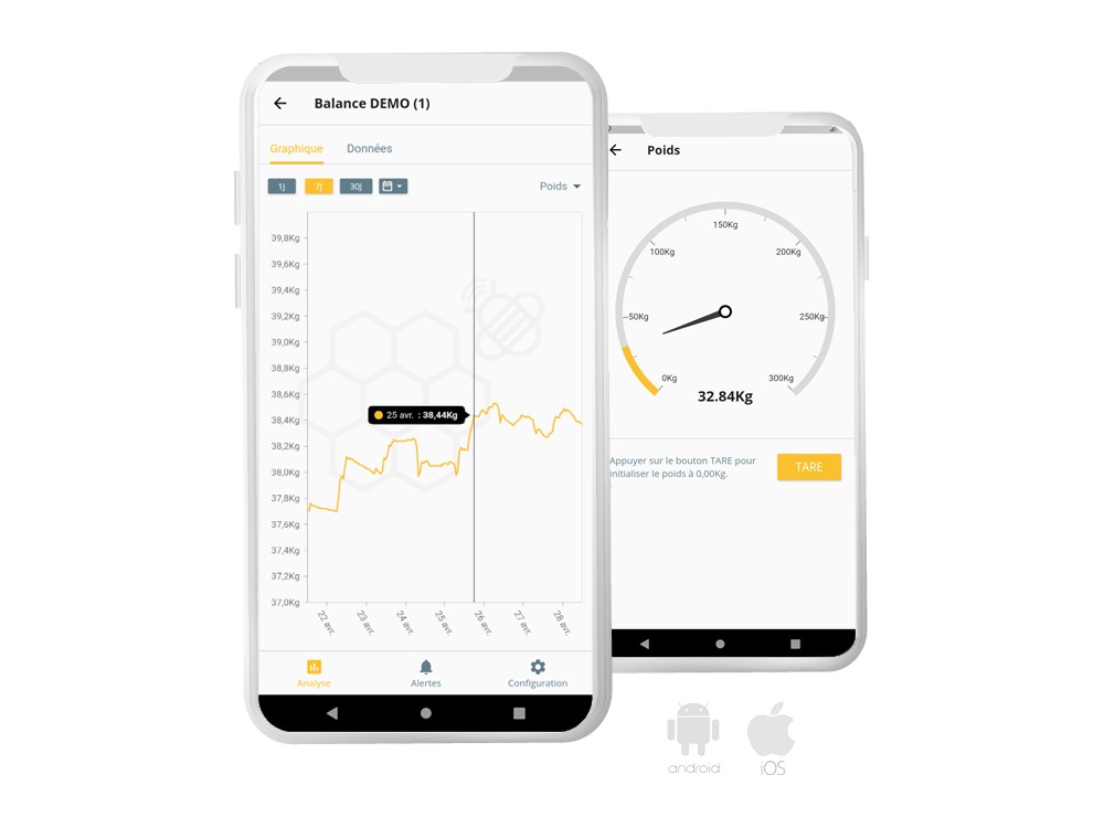 Connected Scale for Beehive - Projects Completed by Symes